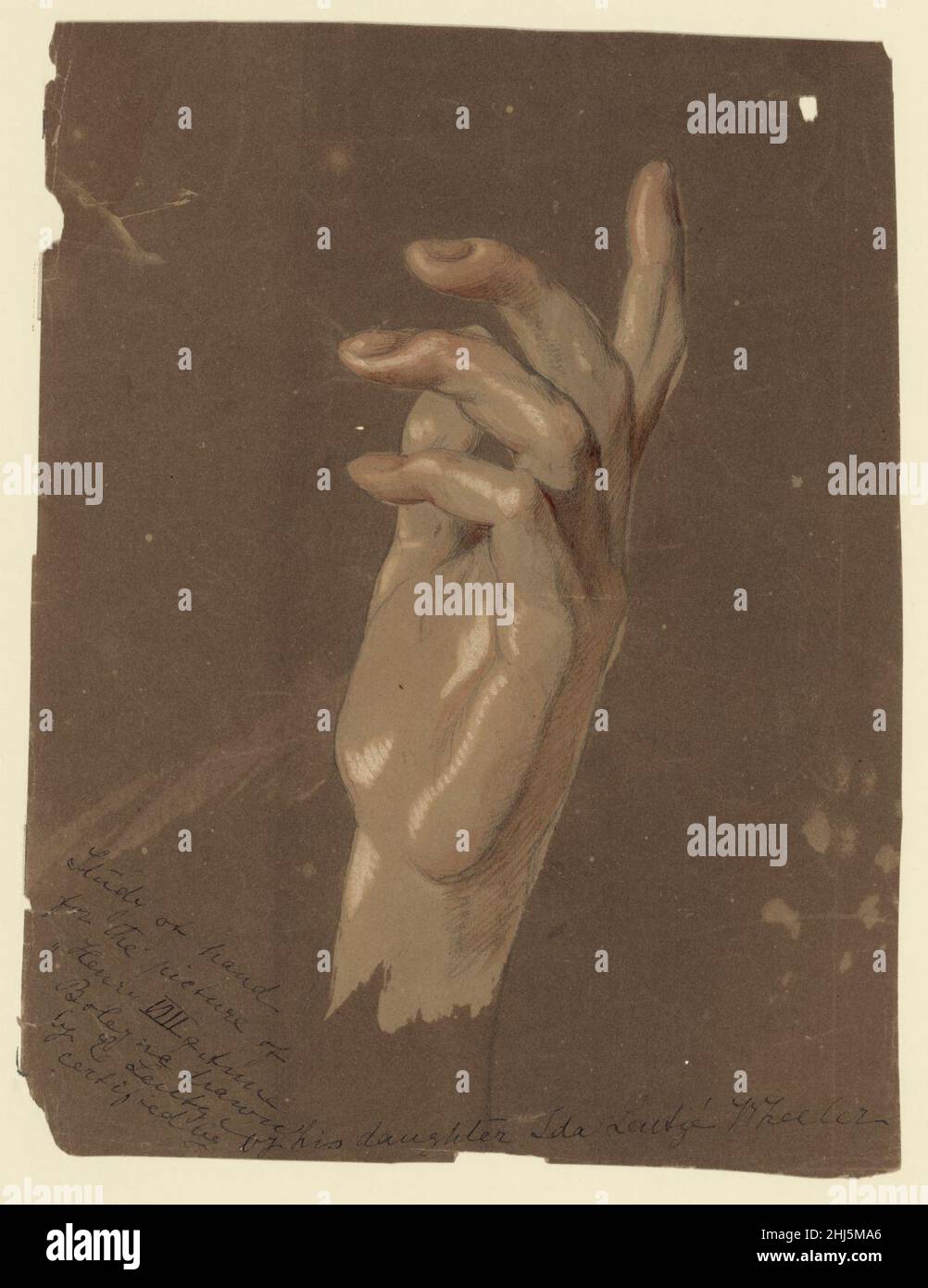 Study of hand Stock Photo - Alamy