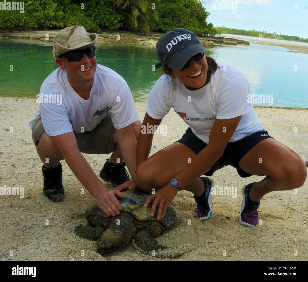 Studying sea turtles 121016 Stock Photo - Alamy