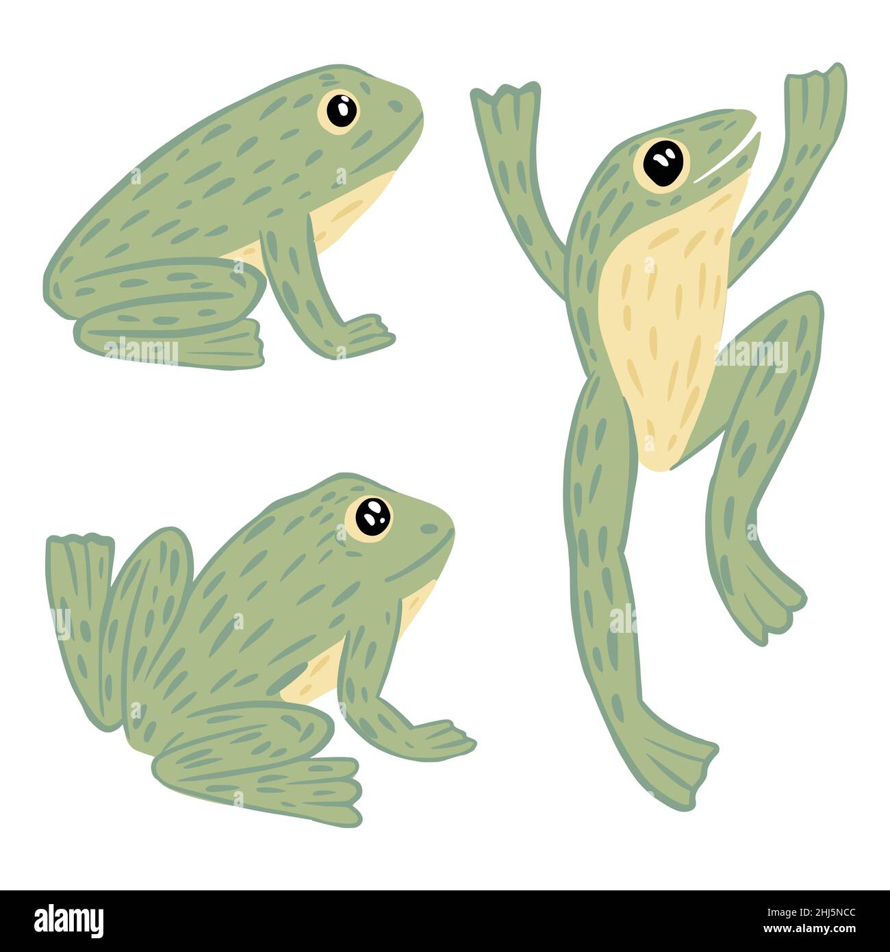 Set frogs isolated on white background. Cute character in different ...
