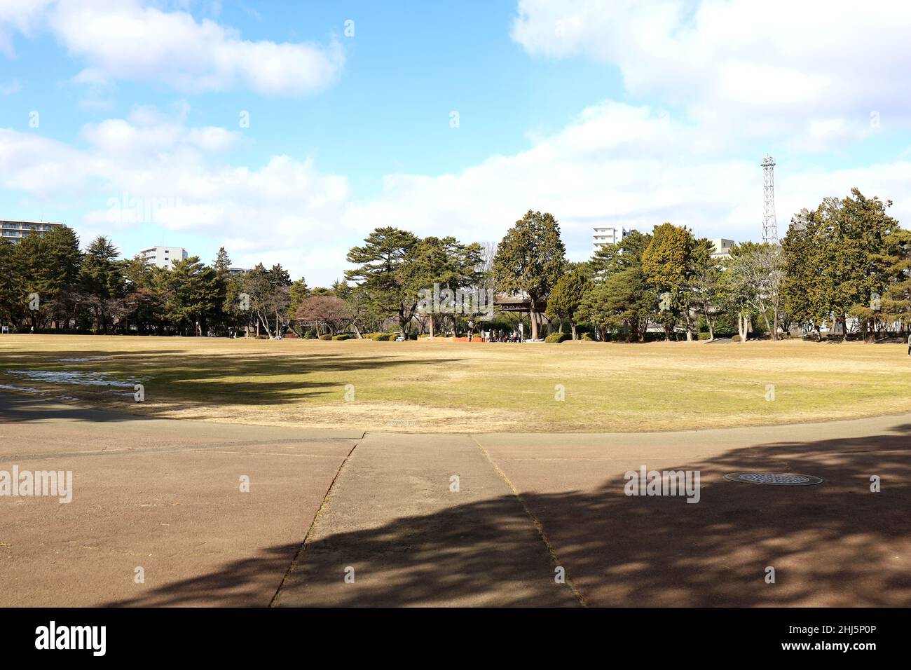 Sendai tsutsujigaoka park japan hi-res stock photography and images - Alamy