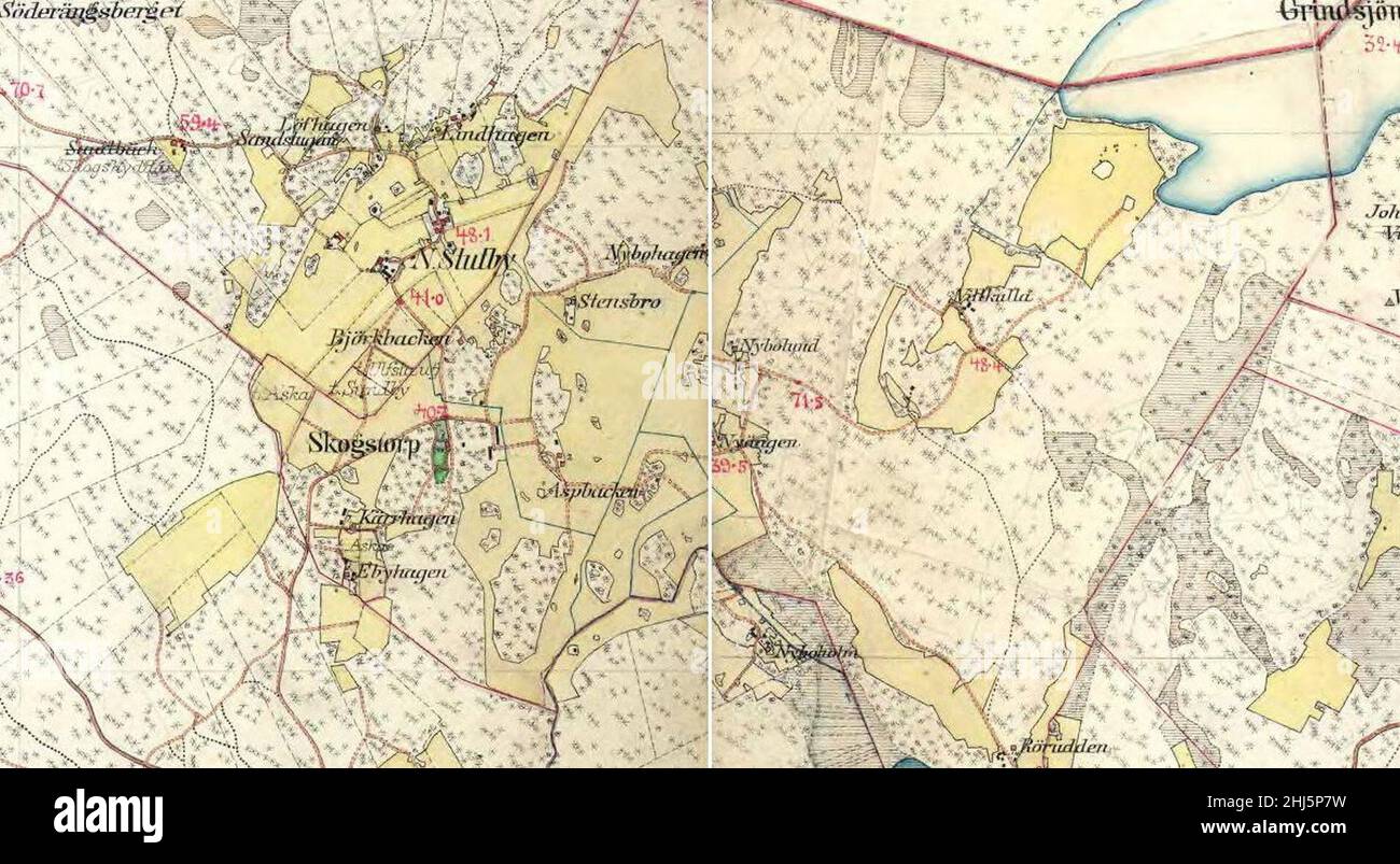 Stutby, Skogstorp 1900a Stock Photo - Alamy