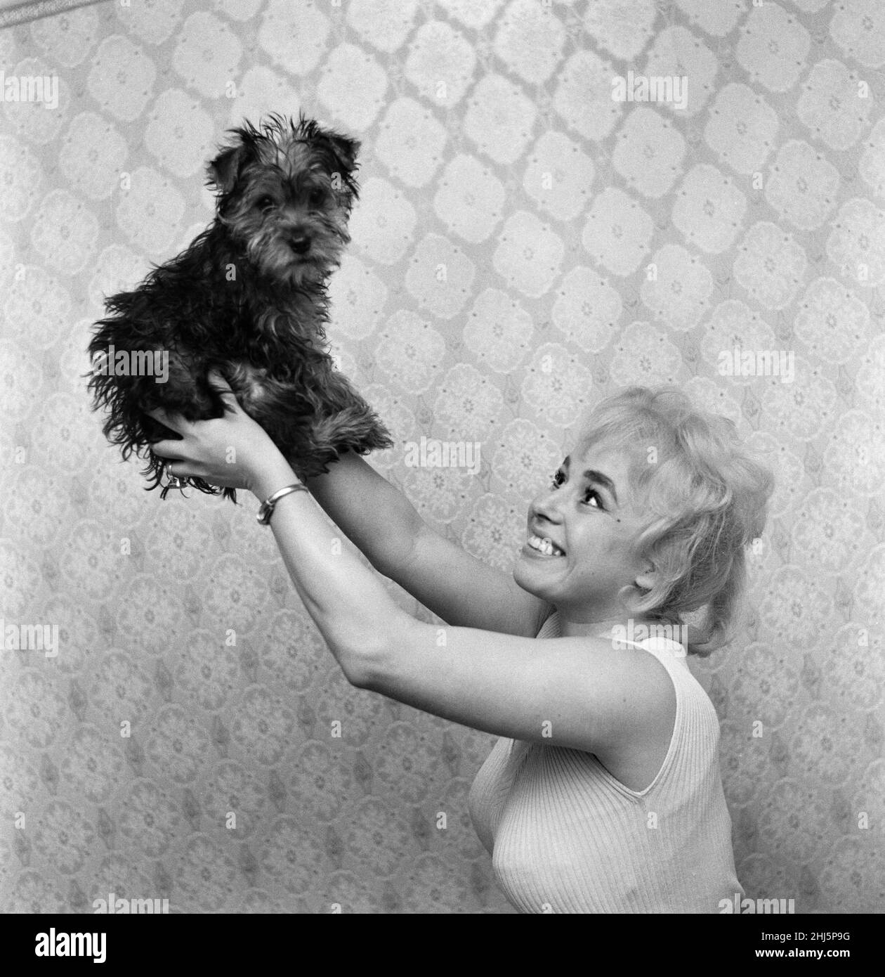 Cockney actress Barbara Windsor at home. 12th February 1960 Stock Photo ...