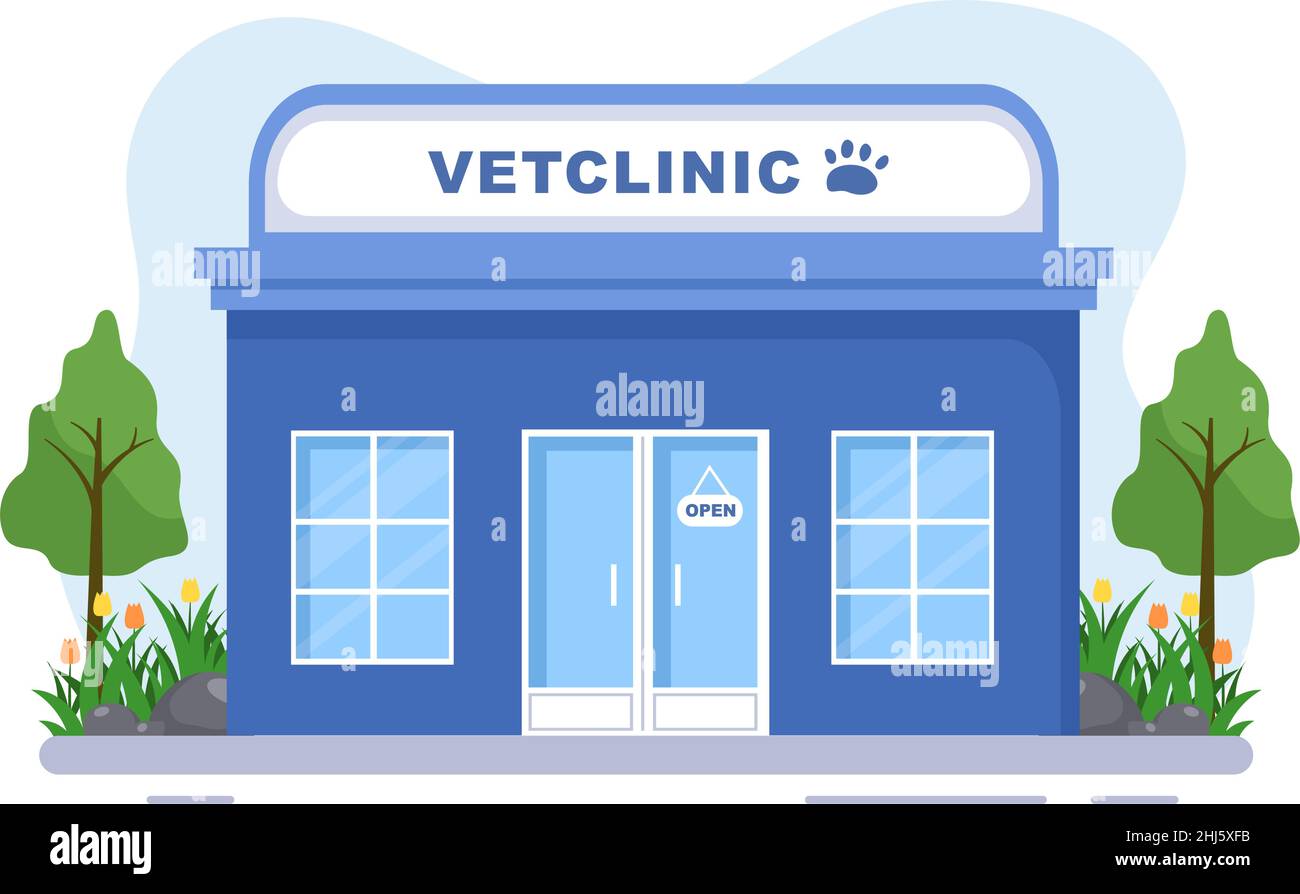 Veterinary Clinic Doctor Examining, Vaccination and Health care for ...