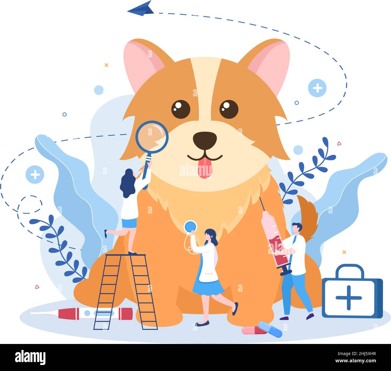 Veterinary Clinic Doctor Examining, Vaccination and Health care for ...