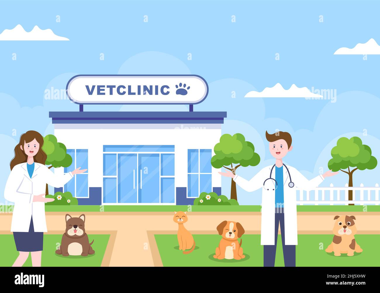 Veterinary Clinic Doctor Examining, Vaccination and Health care for ...