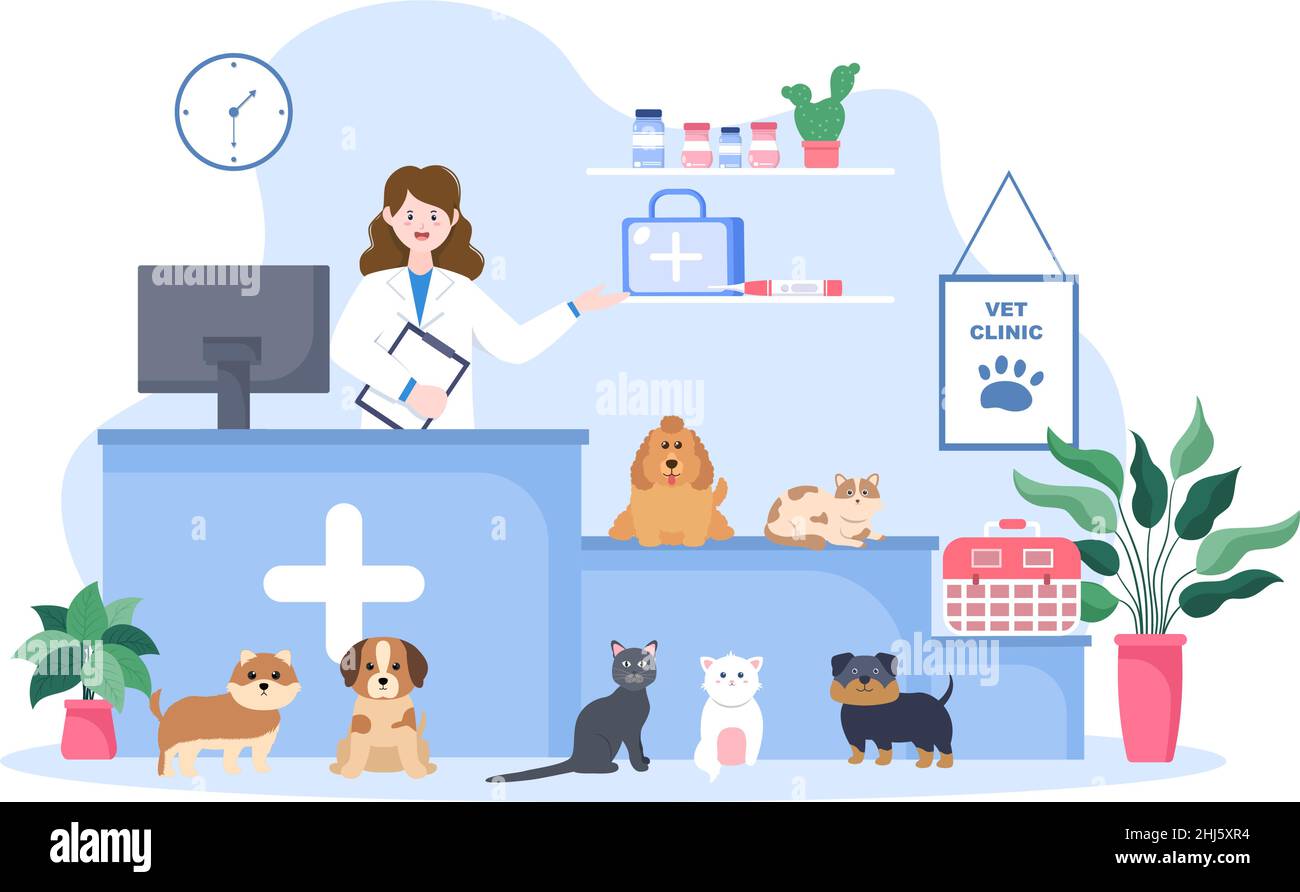 Veterinary Clinic Doctor Examining, Vaccination and Health care for ...