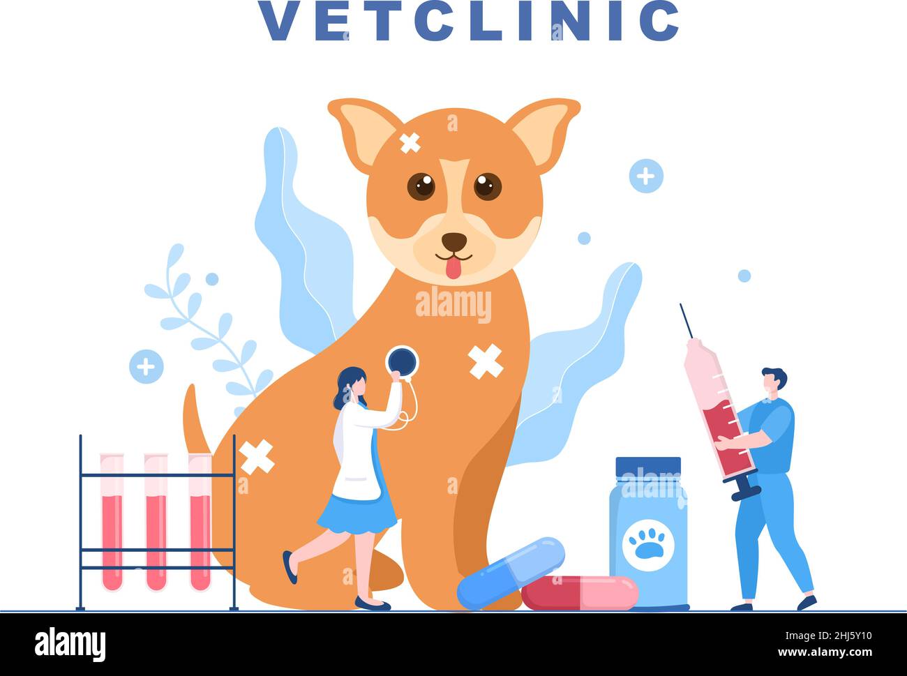 Veterinary Clinic Doctor Examining, Vaccination and Health care for ...