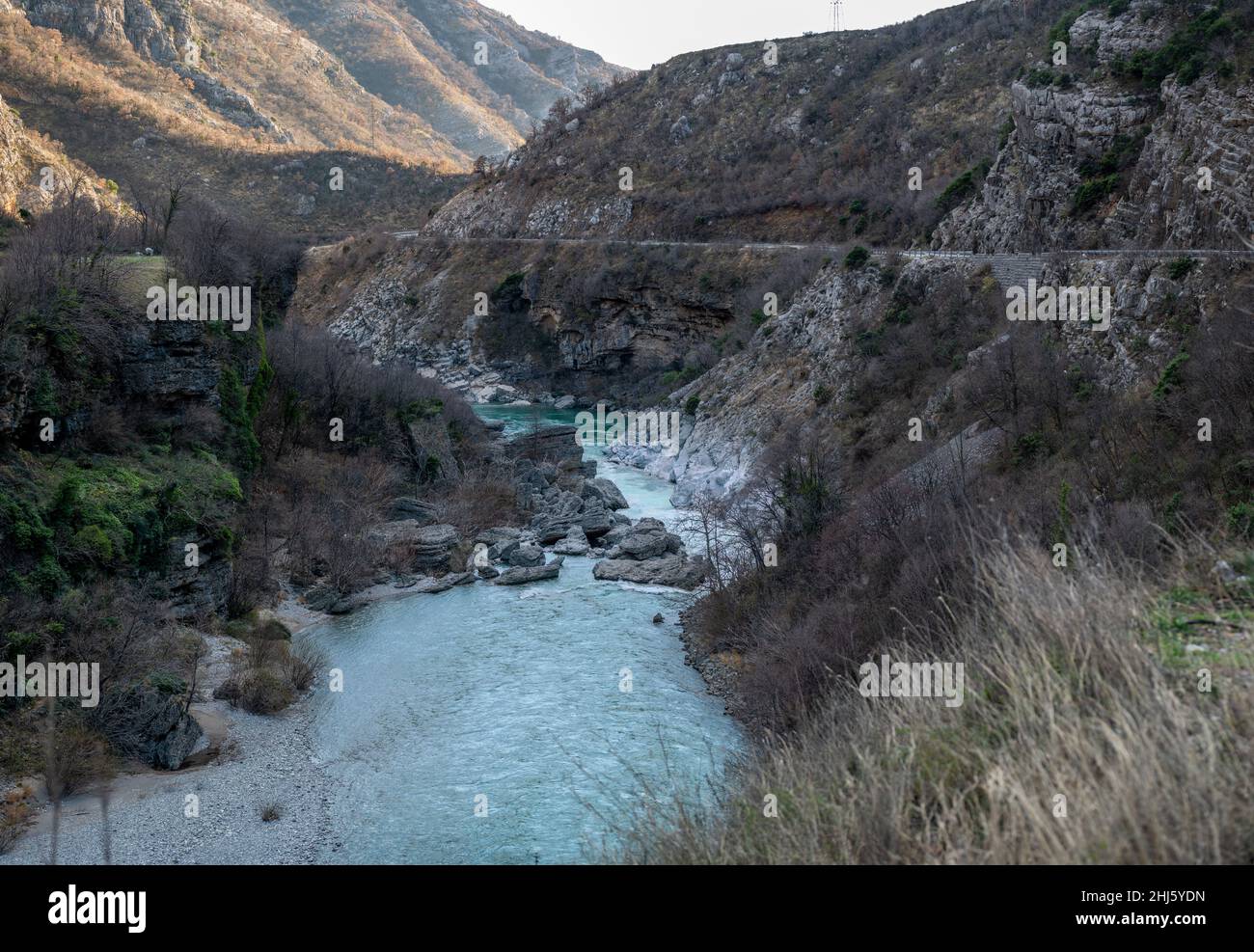 Moracica hi-res stock photography and images - Alamy