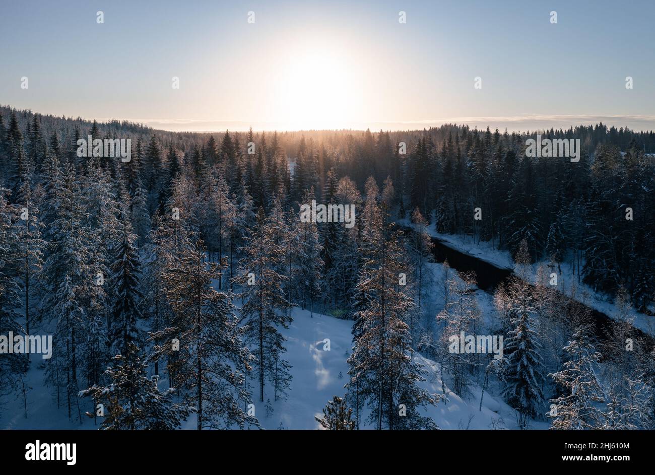 Sunrise over taiga landscape. Boreal forest in finland Stock Photo - Alamy
