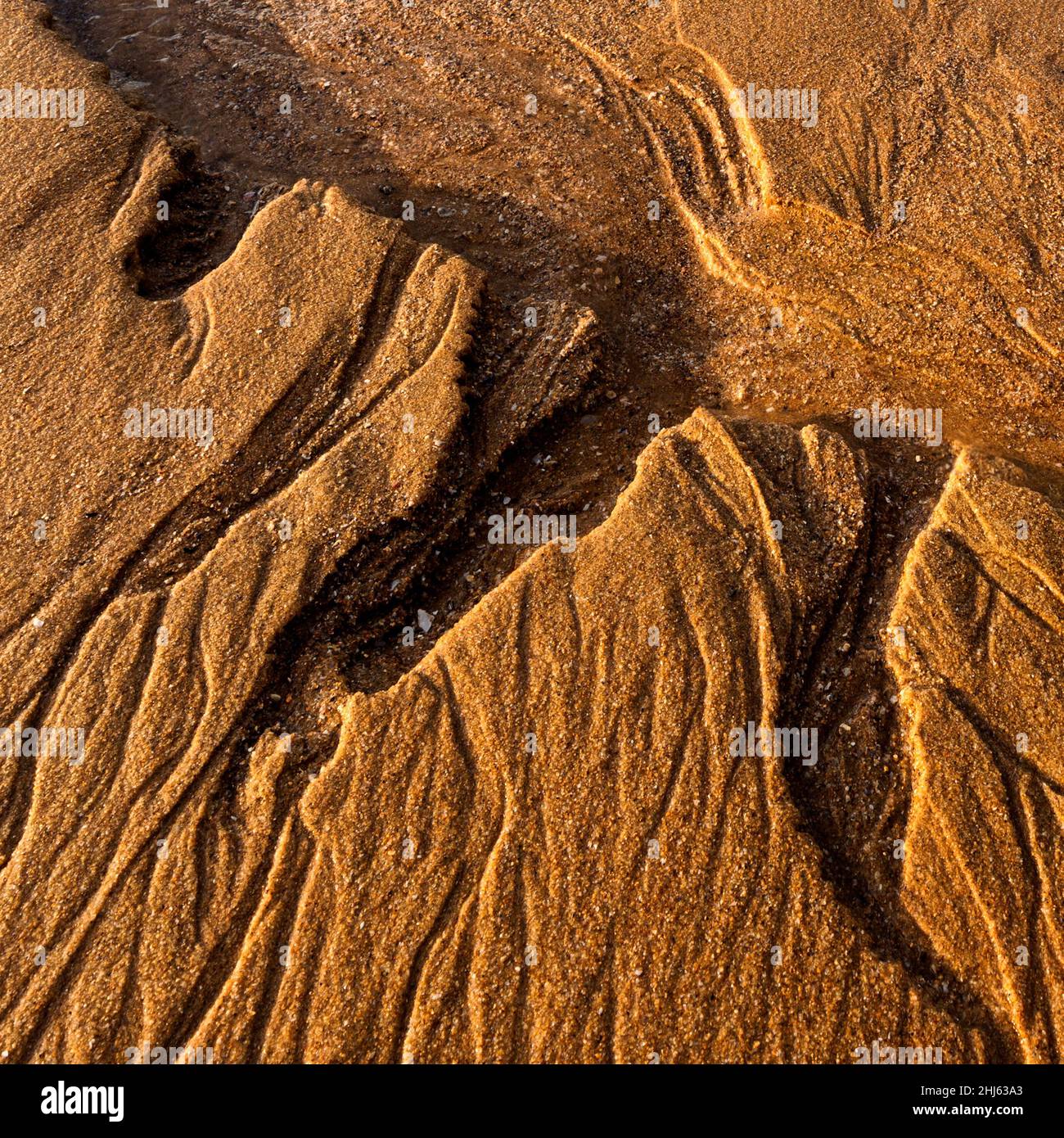 close up of patterns in the sand at the beach Stock Photo - Alamy