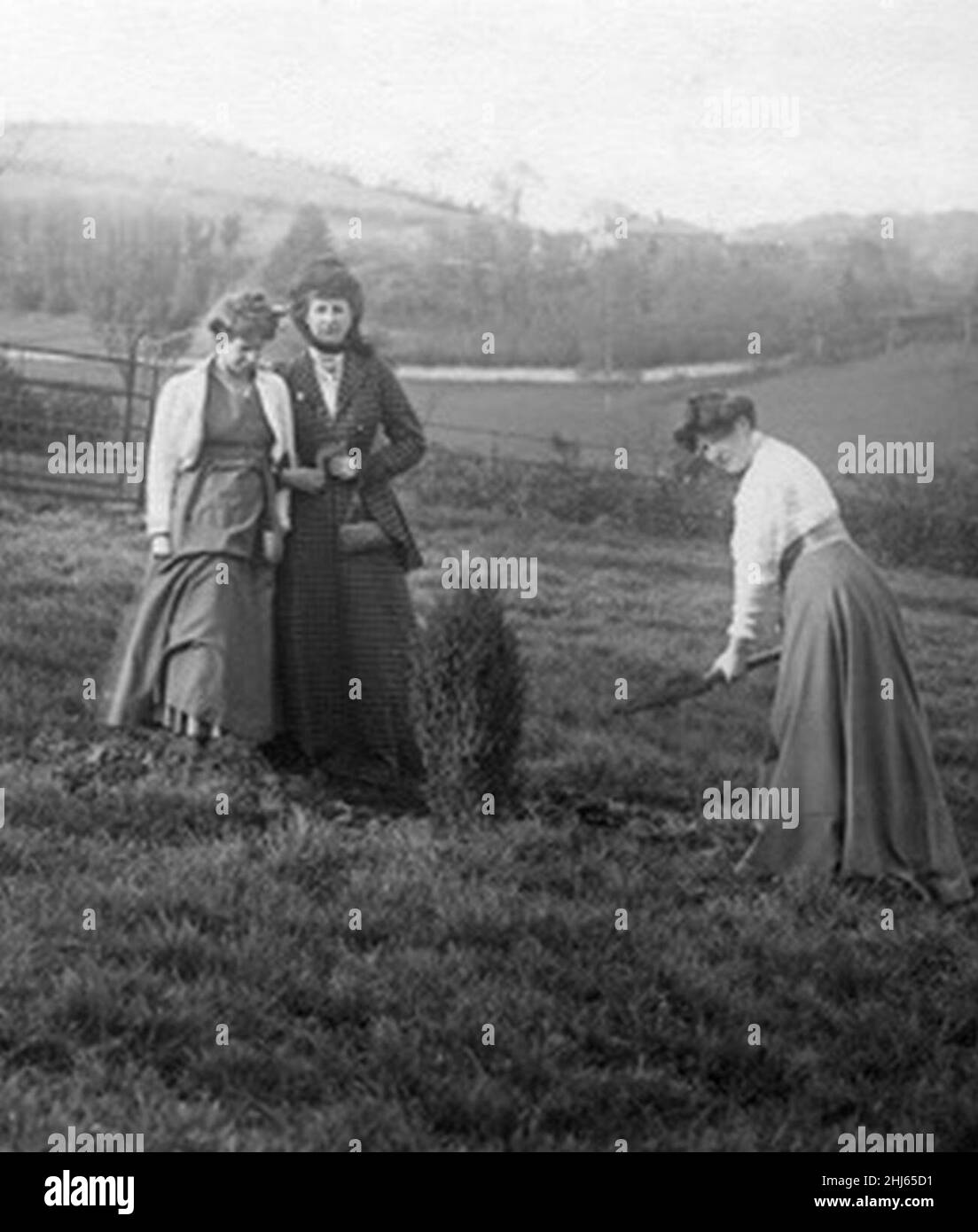 Suffragette Clara Codd planting tree with Annie Kenney and Florence ...