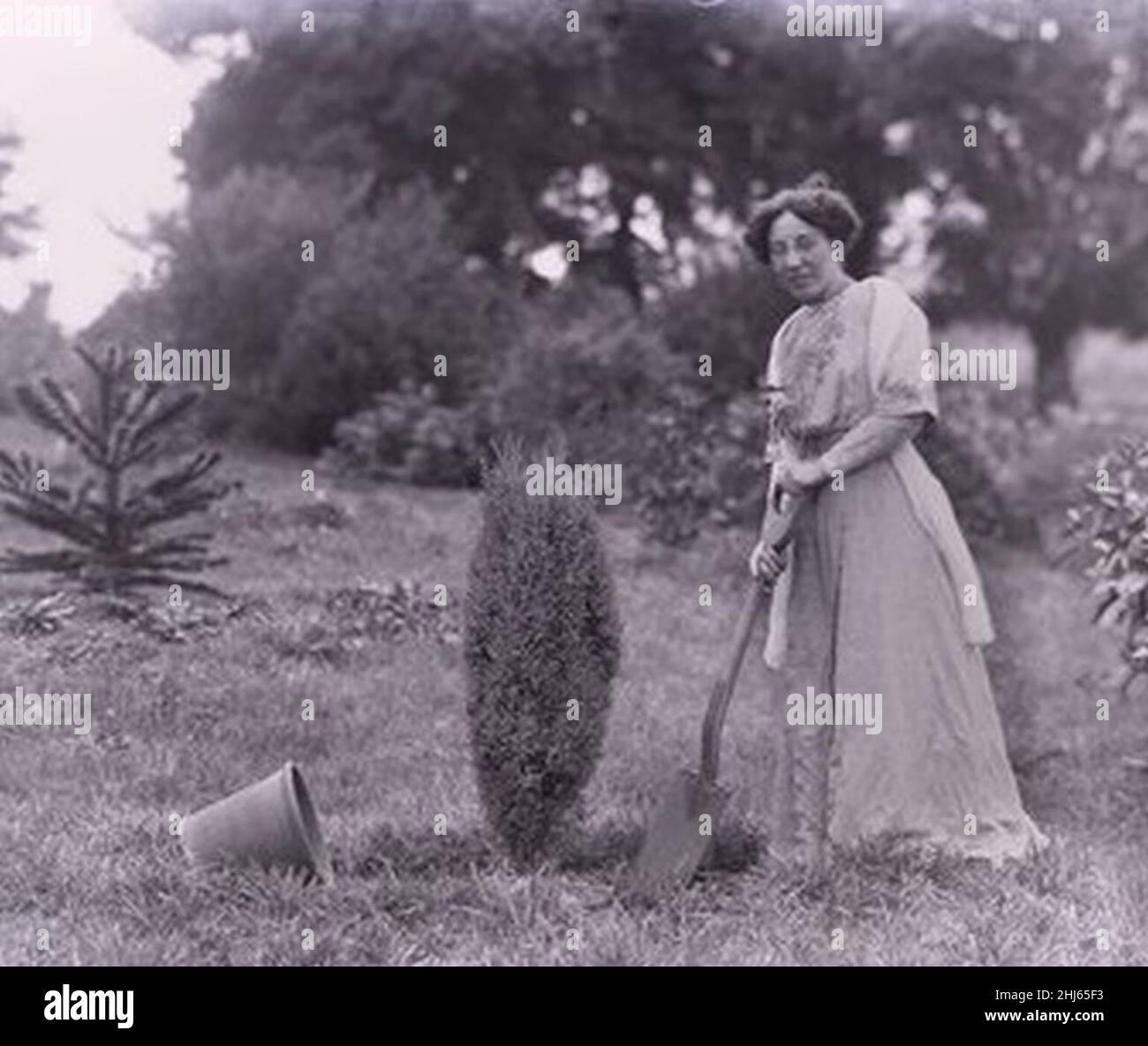 Helen watts hi-res stock photography and images - Alamy