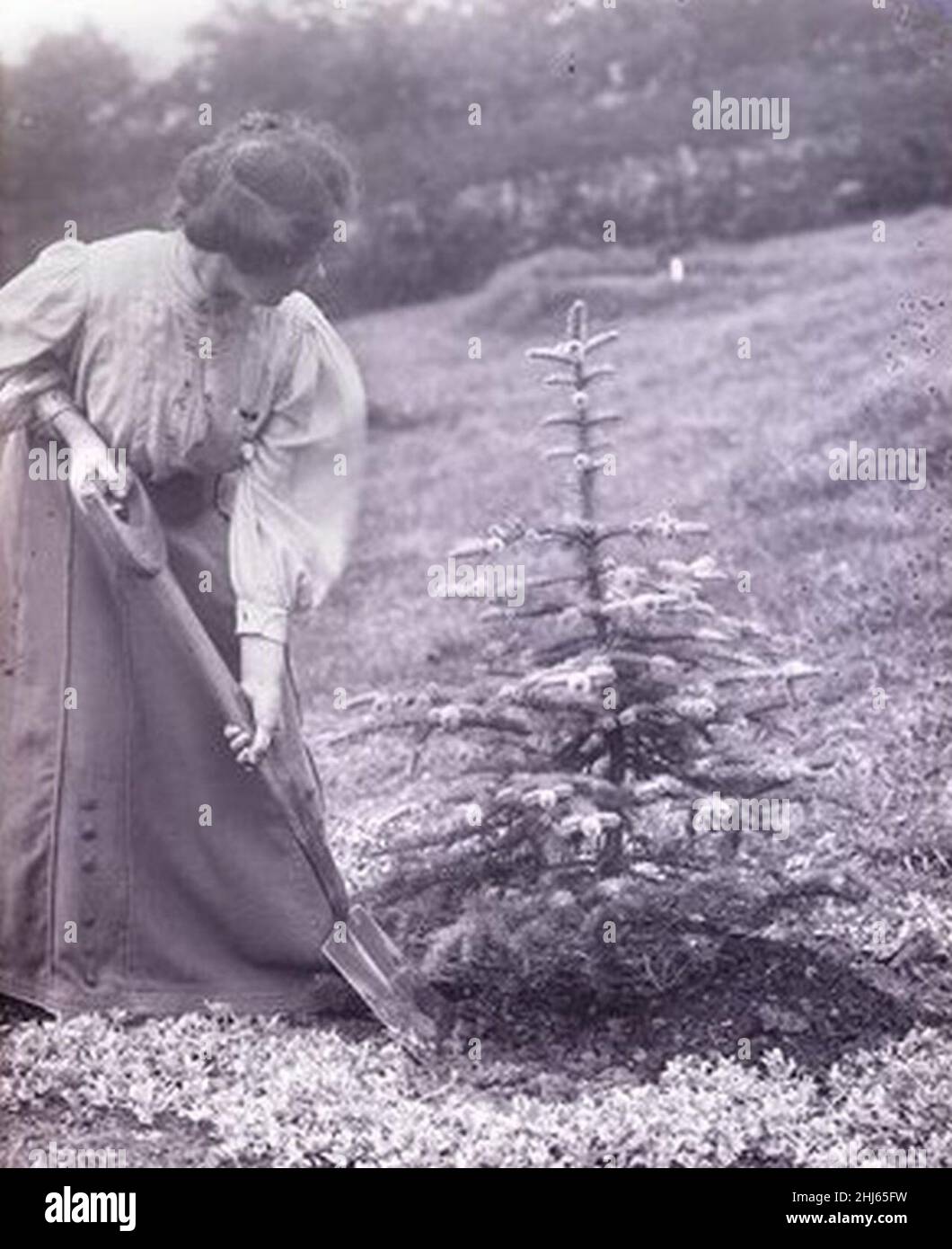 Mary phillips suffragette hi-res stock photography and images - Alamy