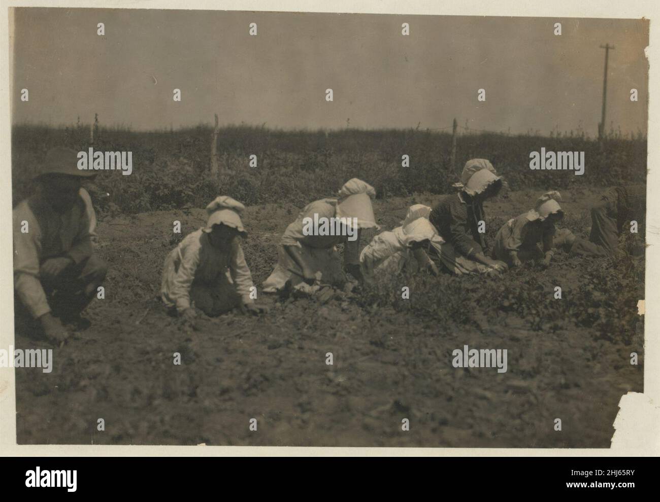 Sugar beet workers, Sugar City, Colorado. Mary, six years, Lucy, eight ...