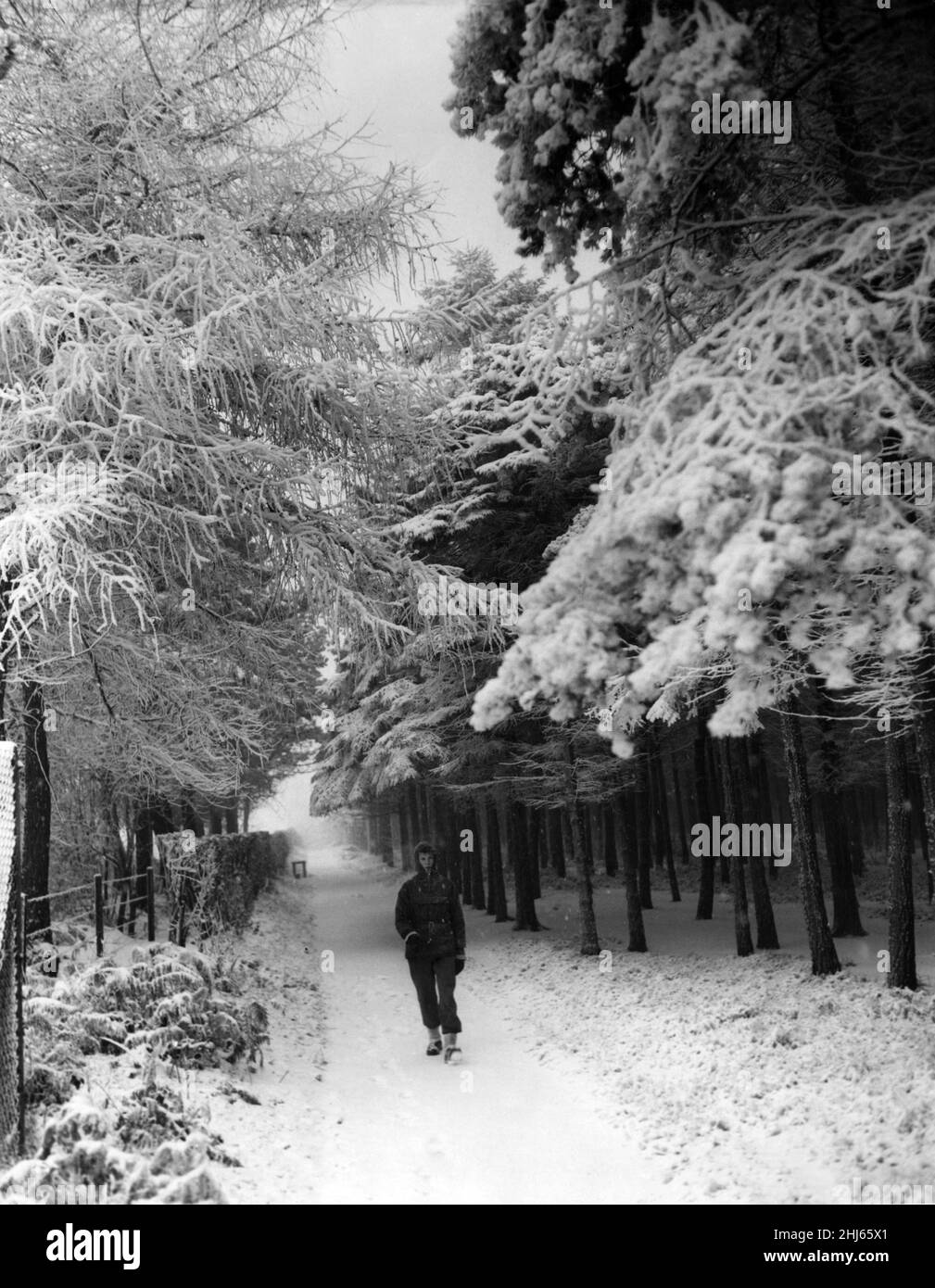 Snow scenes in Lickey Hills, Birmingham. December 1961 Stock Photo - Alamy