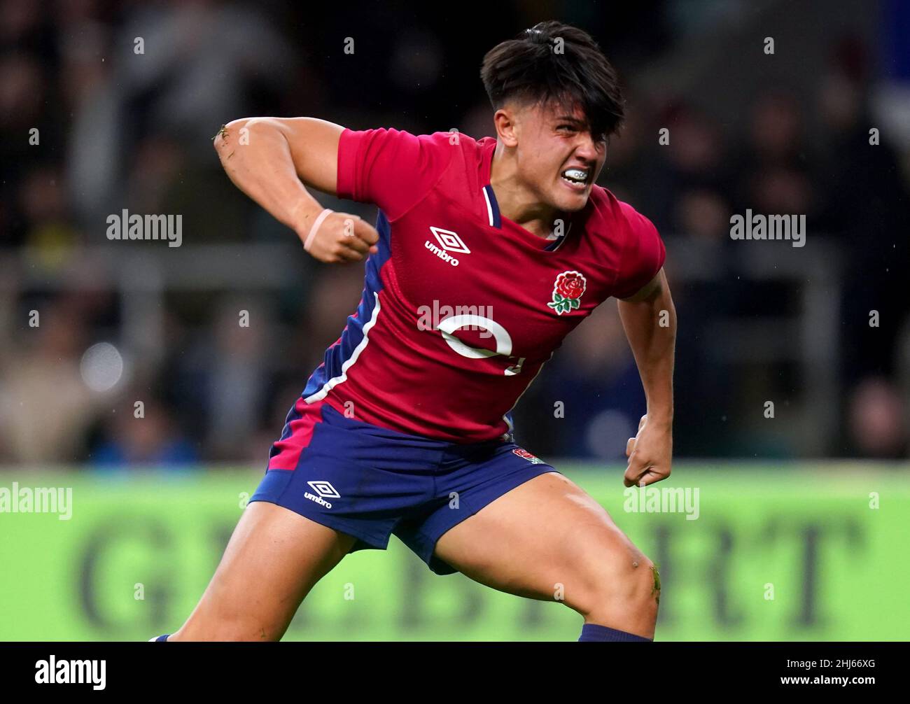 2021 2022 fly hi-res stock photography and images - Alamy