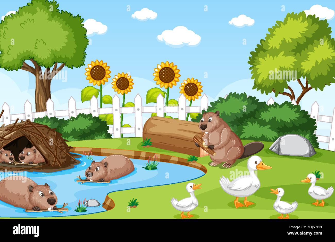 Brown ducks Stock Vector Images - Alamy