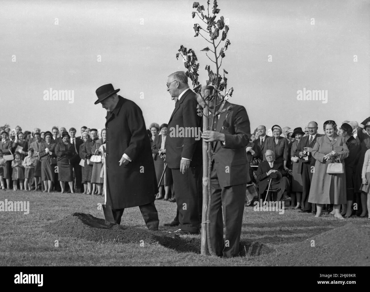 Former Prime Minister Winston Churchill (left) planting an oak tree to ...