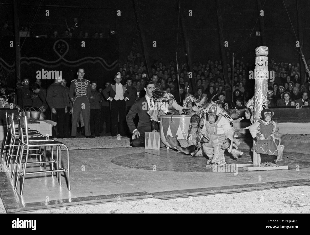 American circus cambridge hi-res stock photography and images - Alamy
