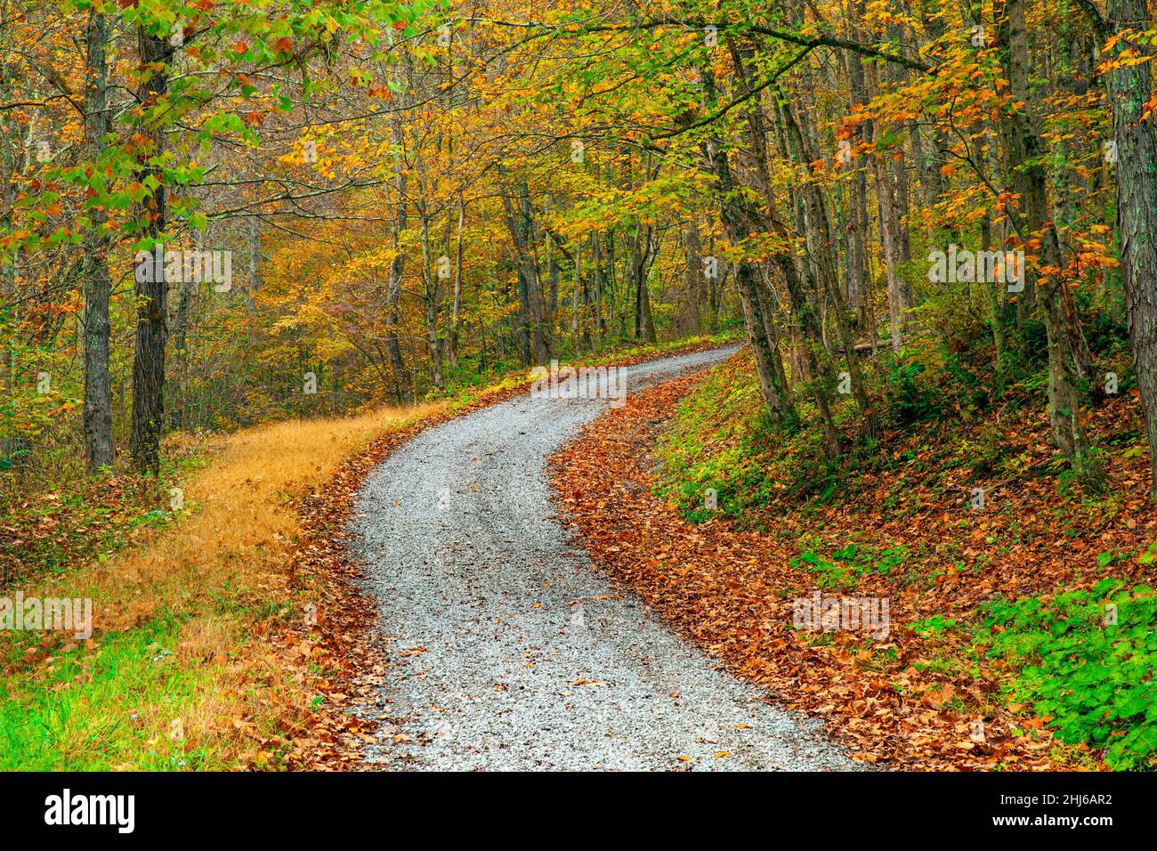 Backroad a hi-res stock photography and images - Alamy