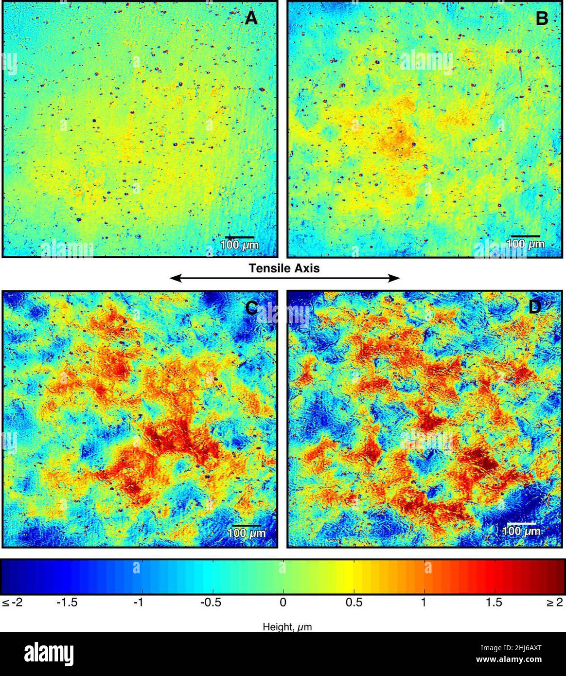 Confocal microscopy hi-res stock photography and images - Alamy