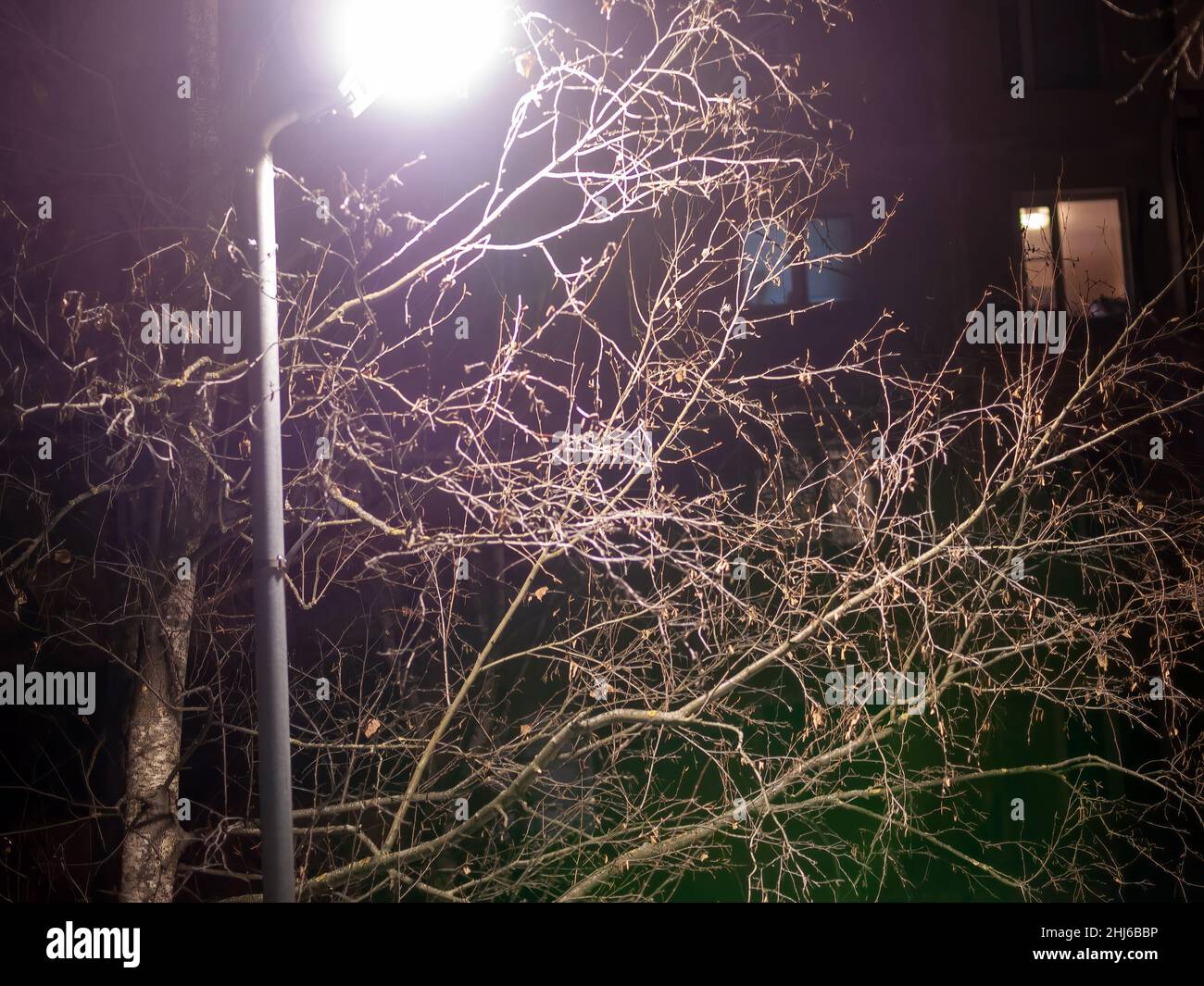 street lamp on Moscow street lights, in winter Stock Photo - Alamy