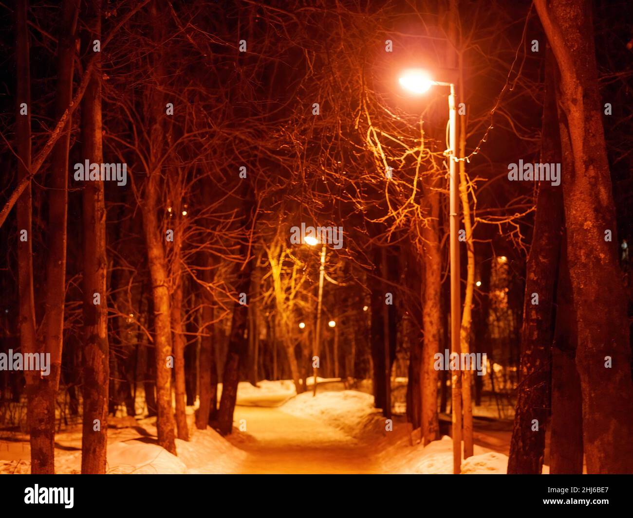 street lamp on Moscow street lights, in winter Stock Photo - Alamy