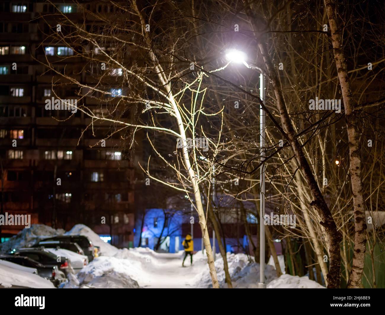 street lamp on Moscow street lights, in winter Stock Photo - Alamy