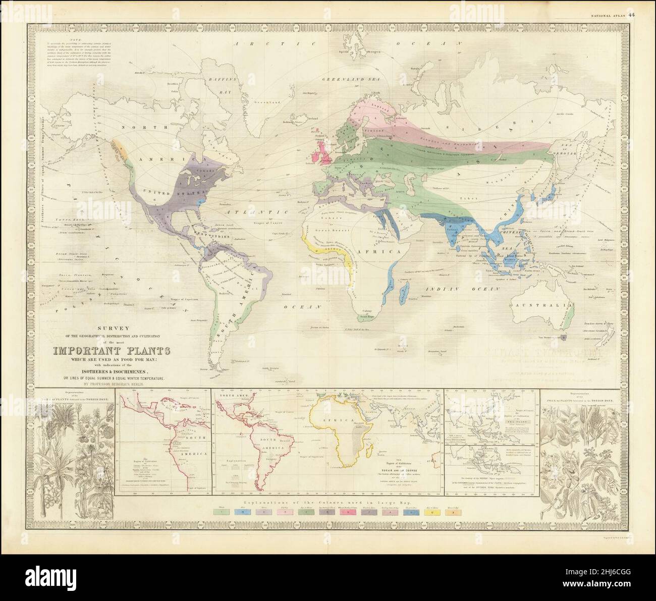 The geographical distribution of plants hi-res stock photography and ...