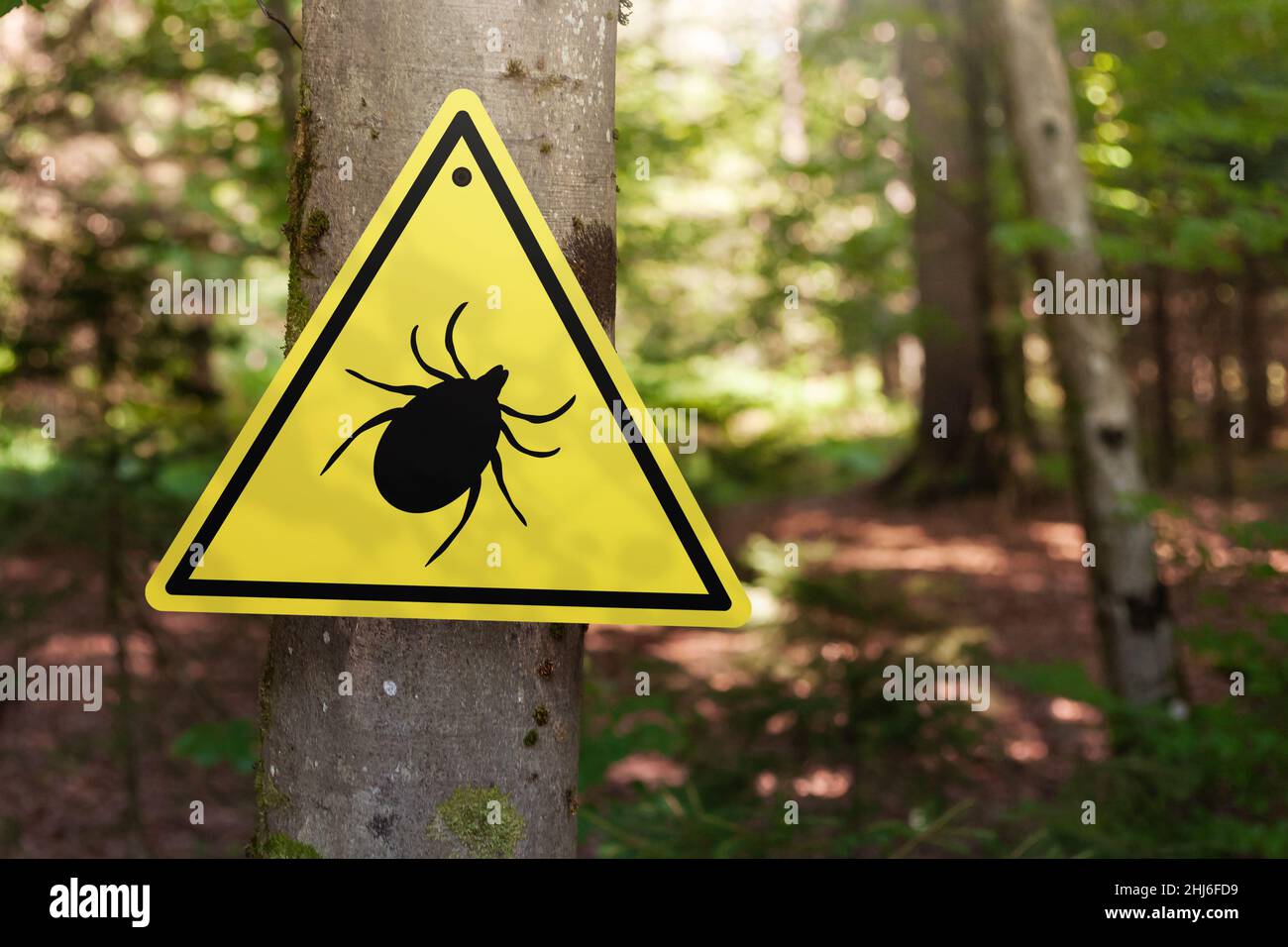 Infected ticks warning sign in a forest. Risk of tick-borne and lyme ...