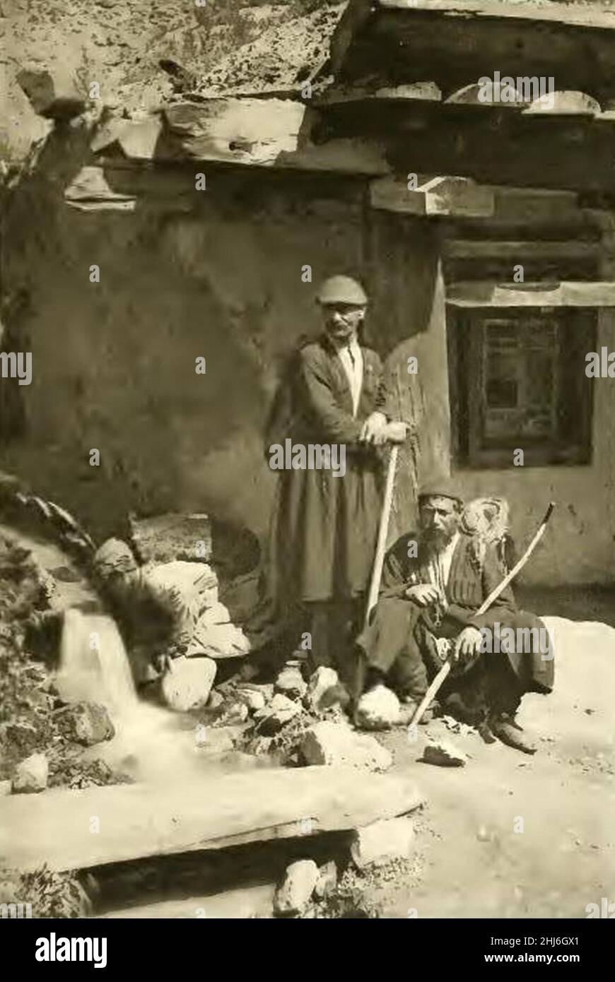 Svans hi-res stock photography and images - Alamy