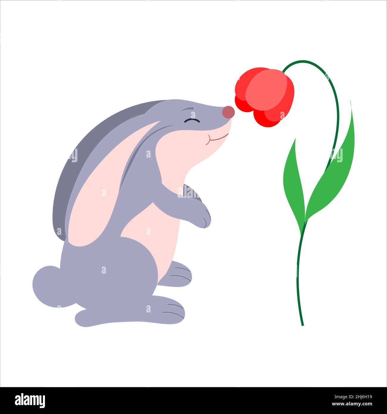 A cartoon character, a hare or a rabbit sniffs a flower. Vector ...