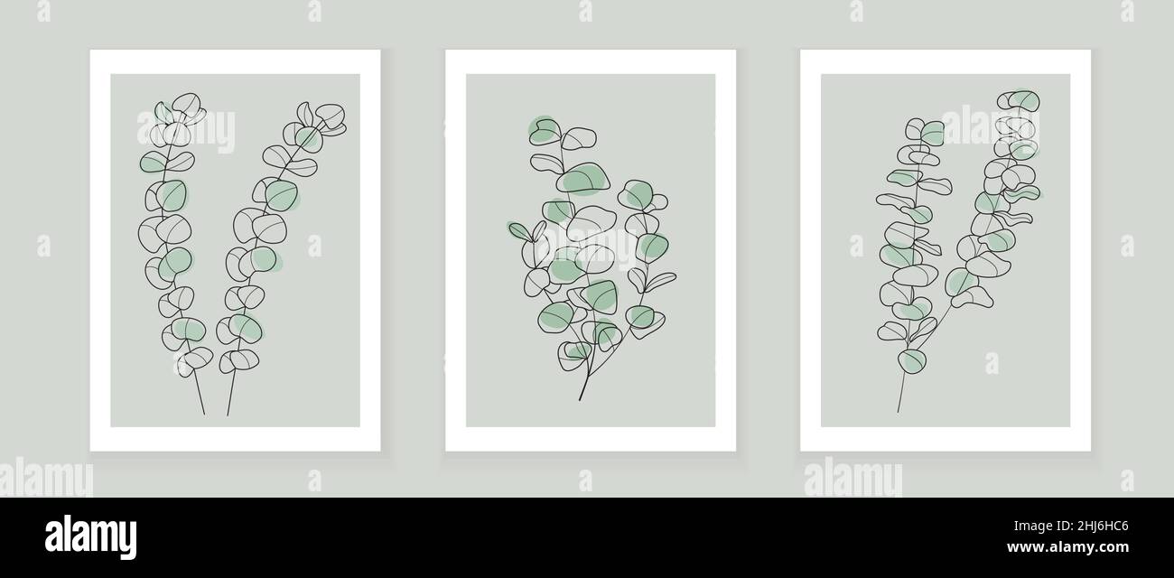 Bohemian eucalyptus branch vector. Eucalyptus with leaves in linear ...