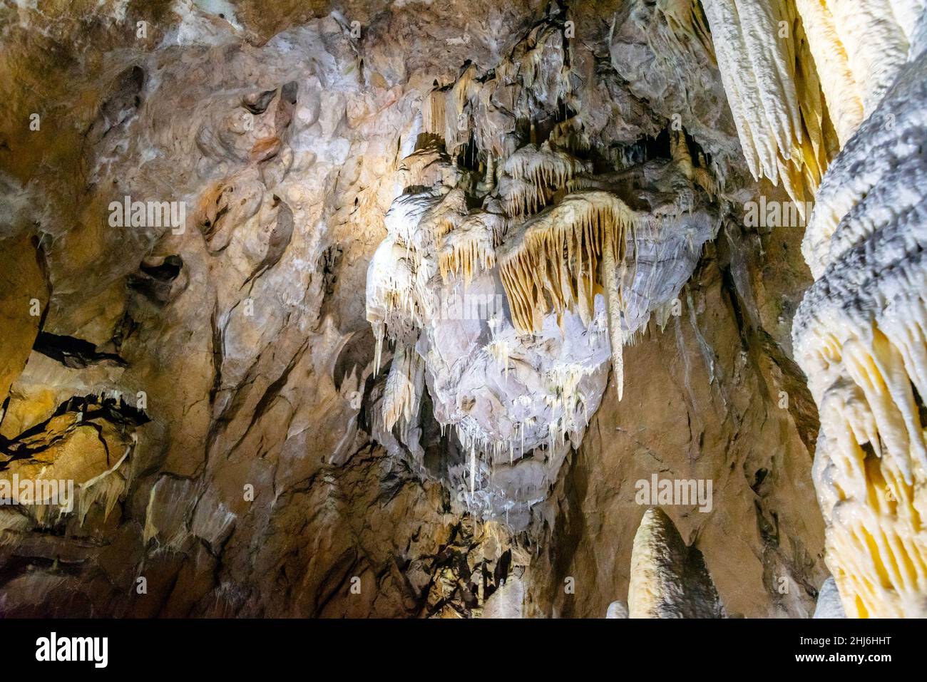 Stalactite decoration of Punkva Caves Stock Photo - Alamy