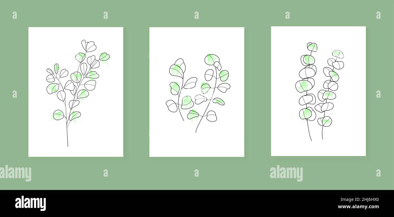 Bohemian eucalyptus branch vector. Eucalyptus with leaves in linear ...