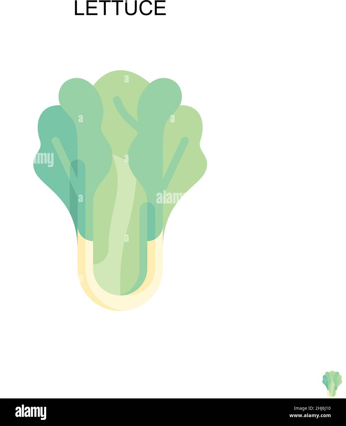Lettuce Simple vector icon. Illustration symbol design template for web ...
