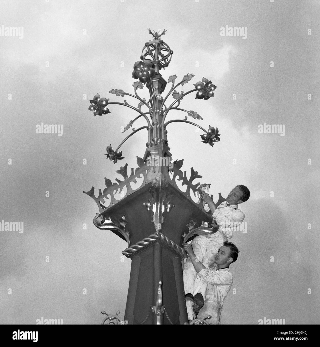 Face lift Black and White Stock Photos & Images - Alamy