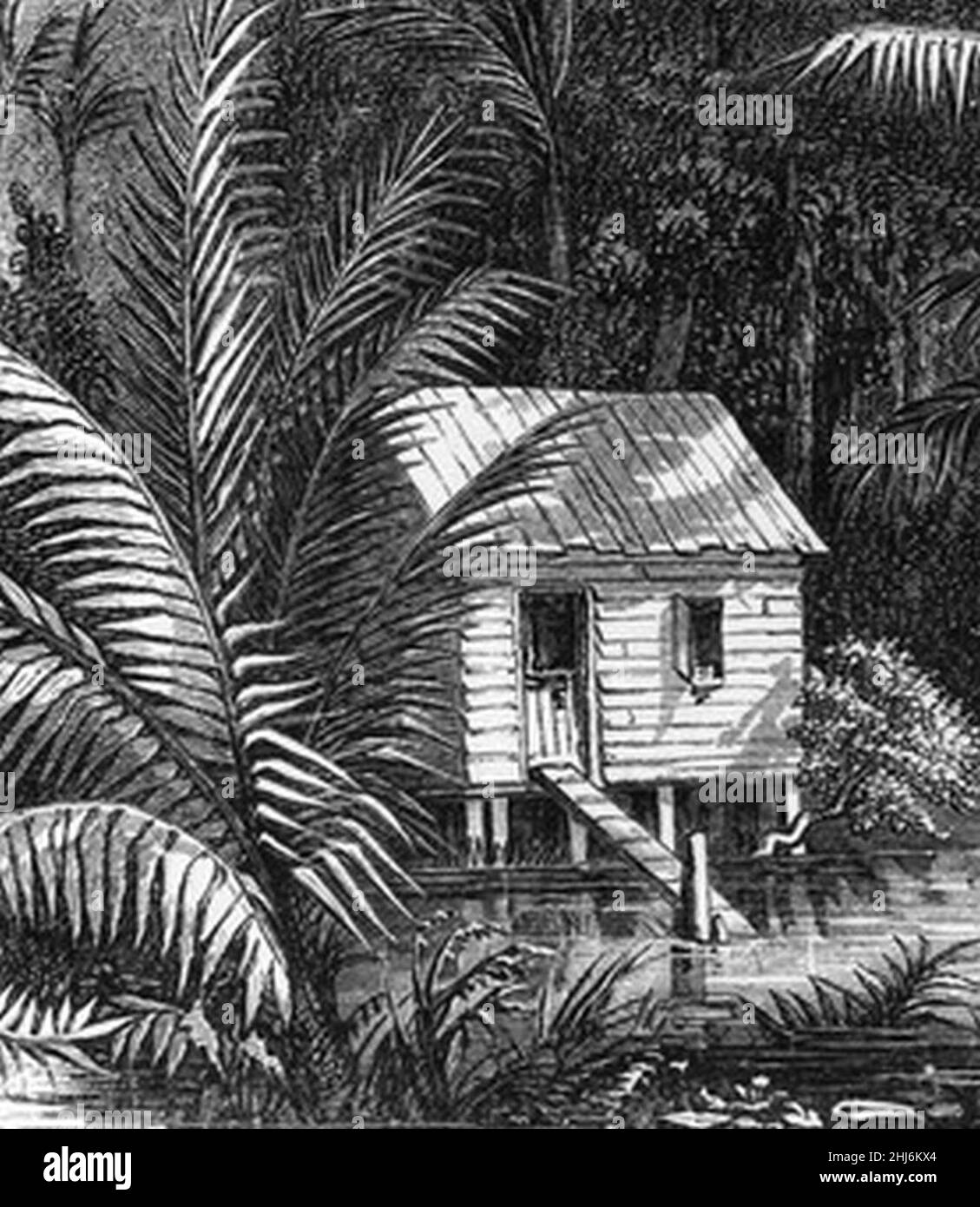 Cabin drawing hi-res stock photography and images - Alamy