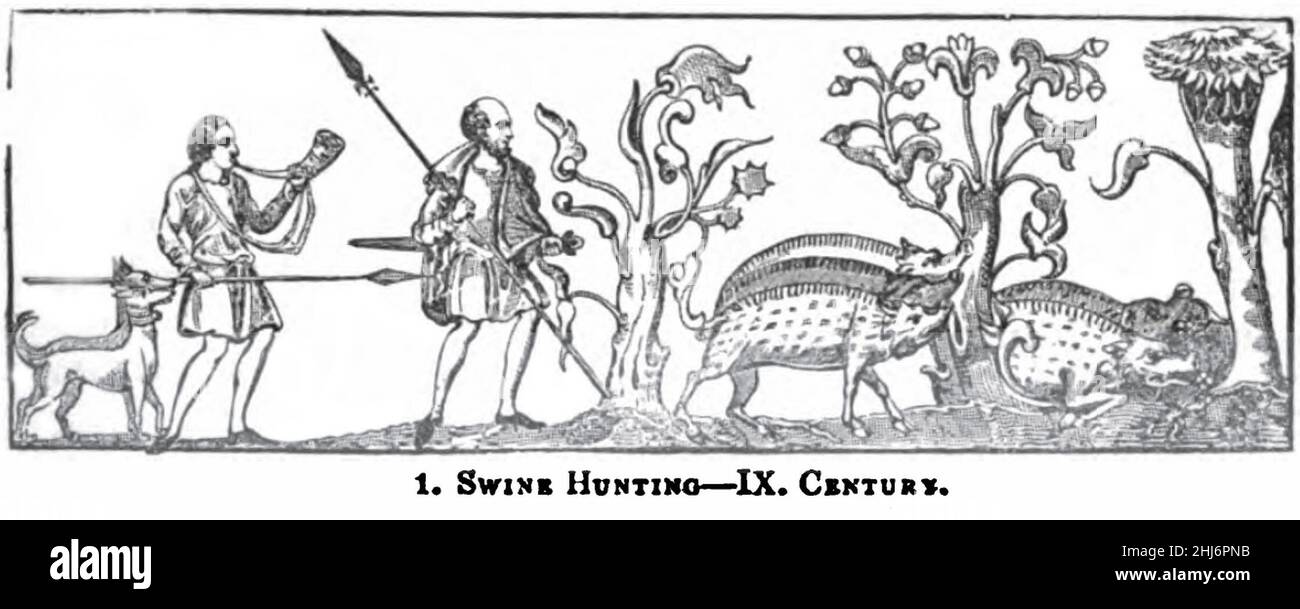 Swine hunting hi-res stock photography and images - Alamy