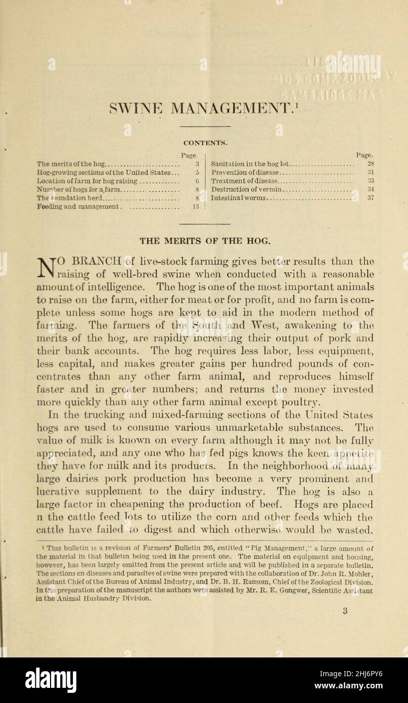 Swine management hi-res stock photography and images - Alamy