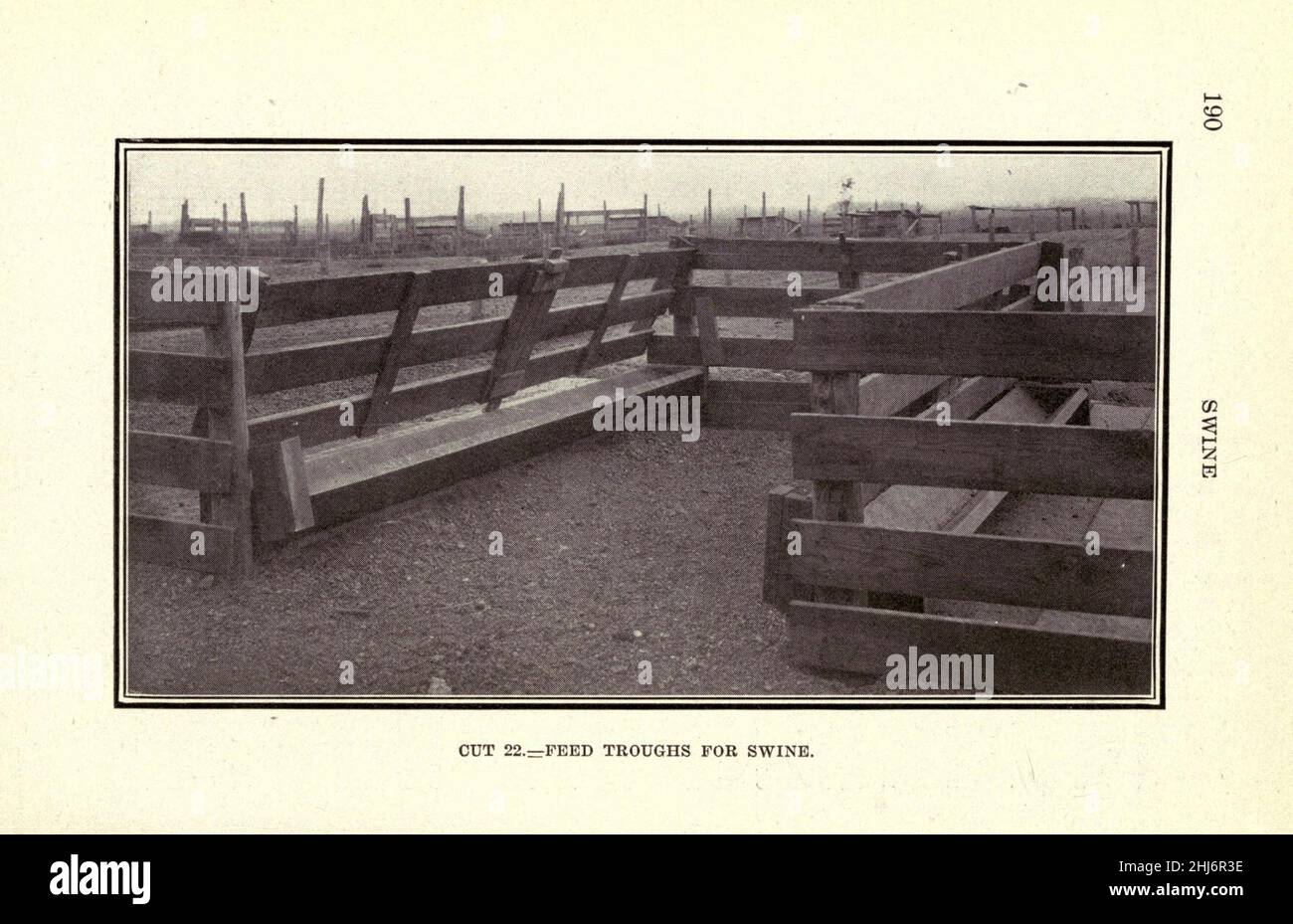 Swine; breeding, feeding and management (Page 190 Stock Photo - Alamy