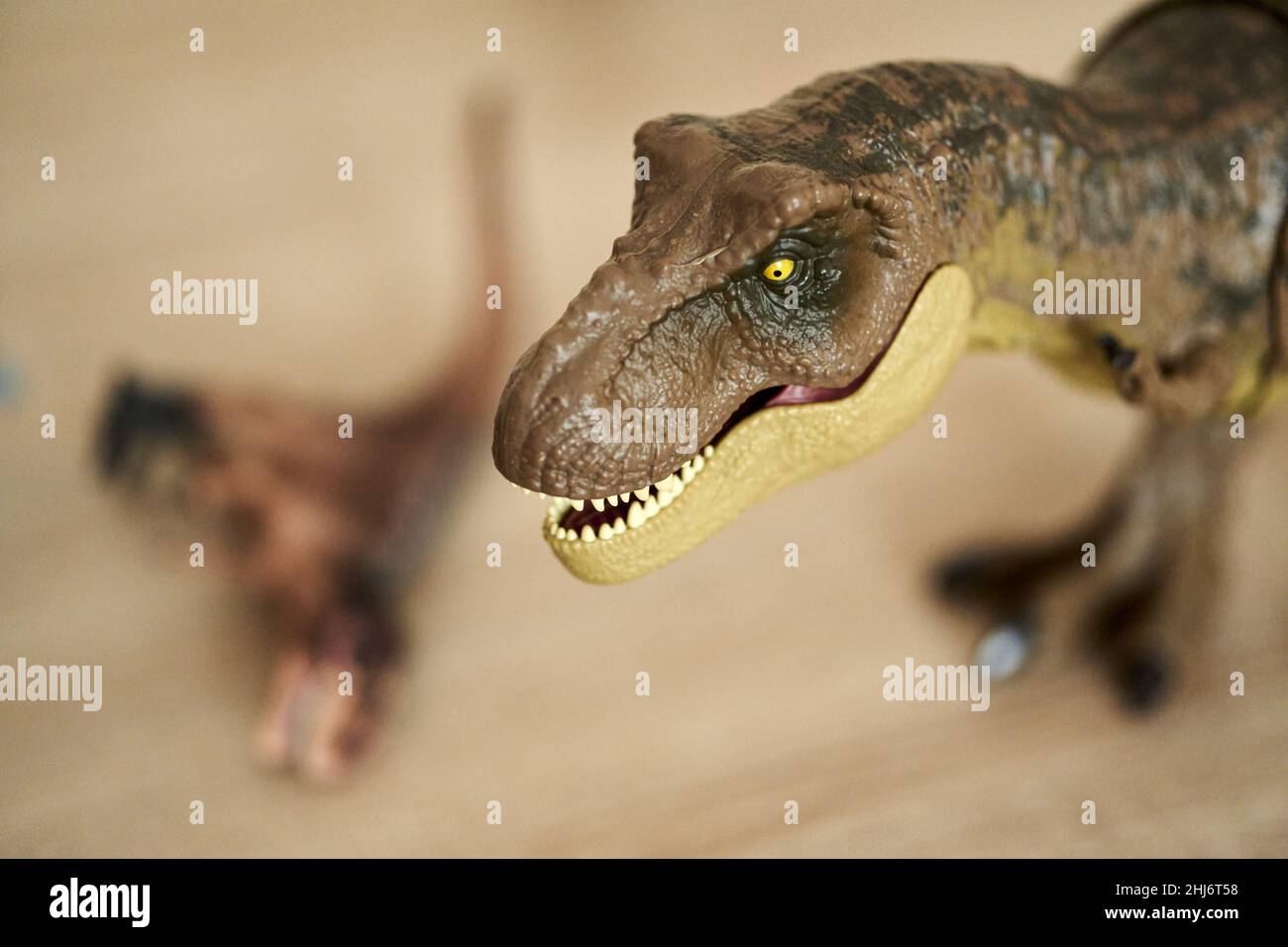 Closeup of a plastic toy Tyrannosaurus Rex toy dinosaur in soft focus ...