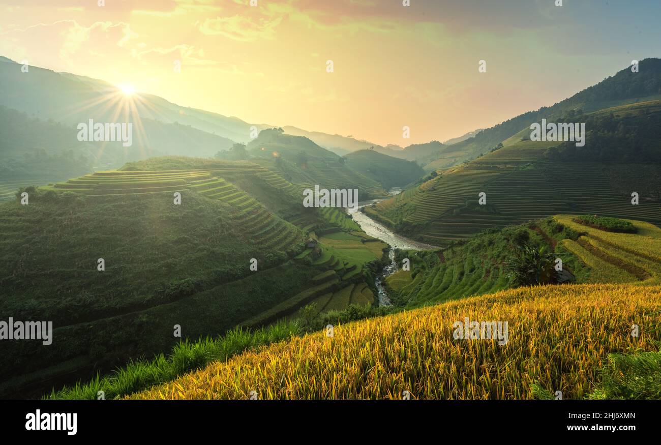 Green Rice fields on terraced in Mu Chang Chai, Vietnam Rice fields ...