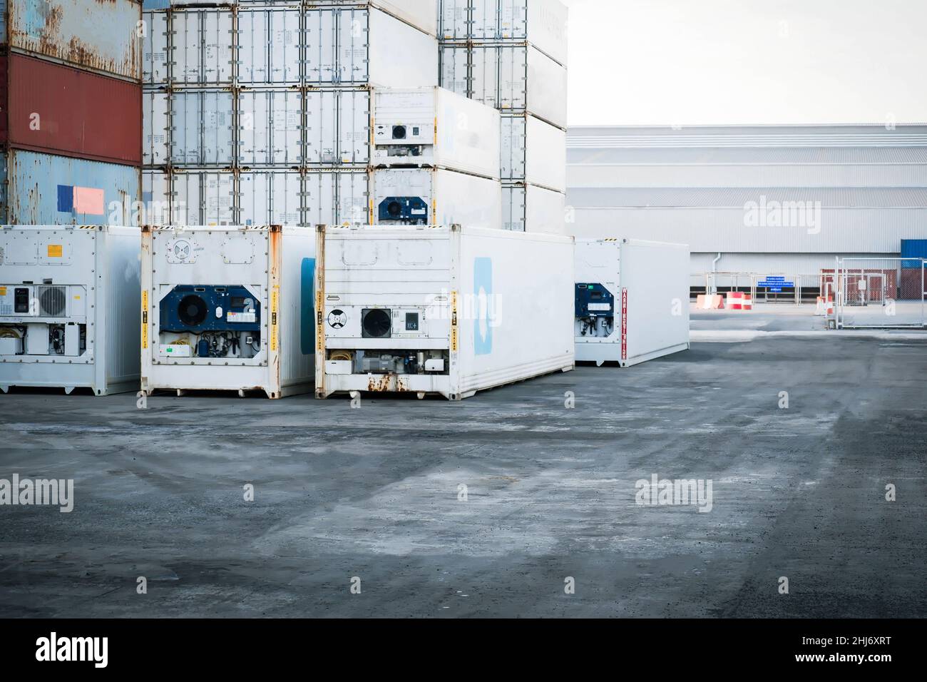 Refrigeration Container waiting for packing for export Stock Photo - Alamy
