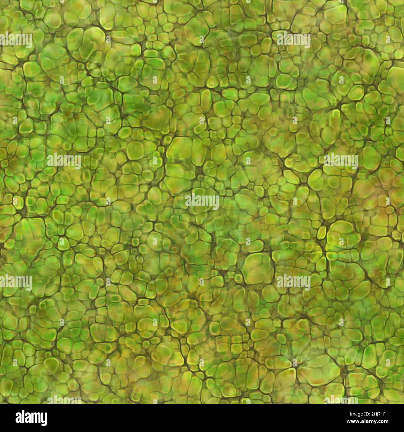 Cartoon seamless texture of color fantasy cobble stone ground pavement ...