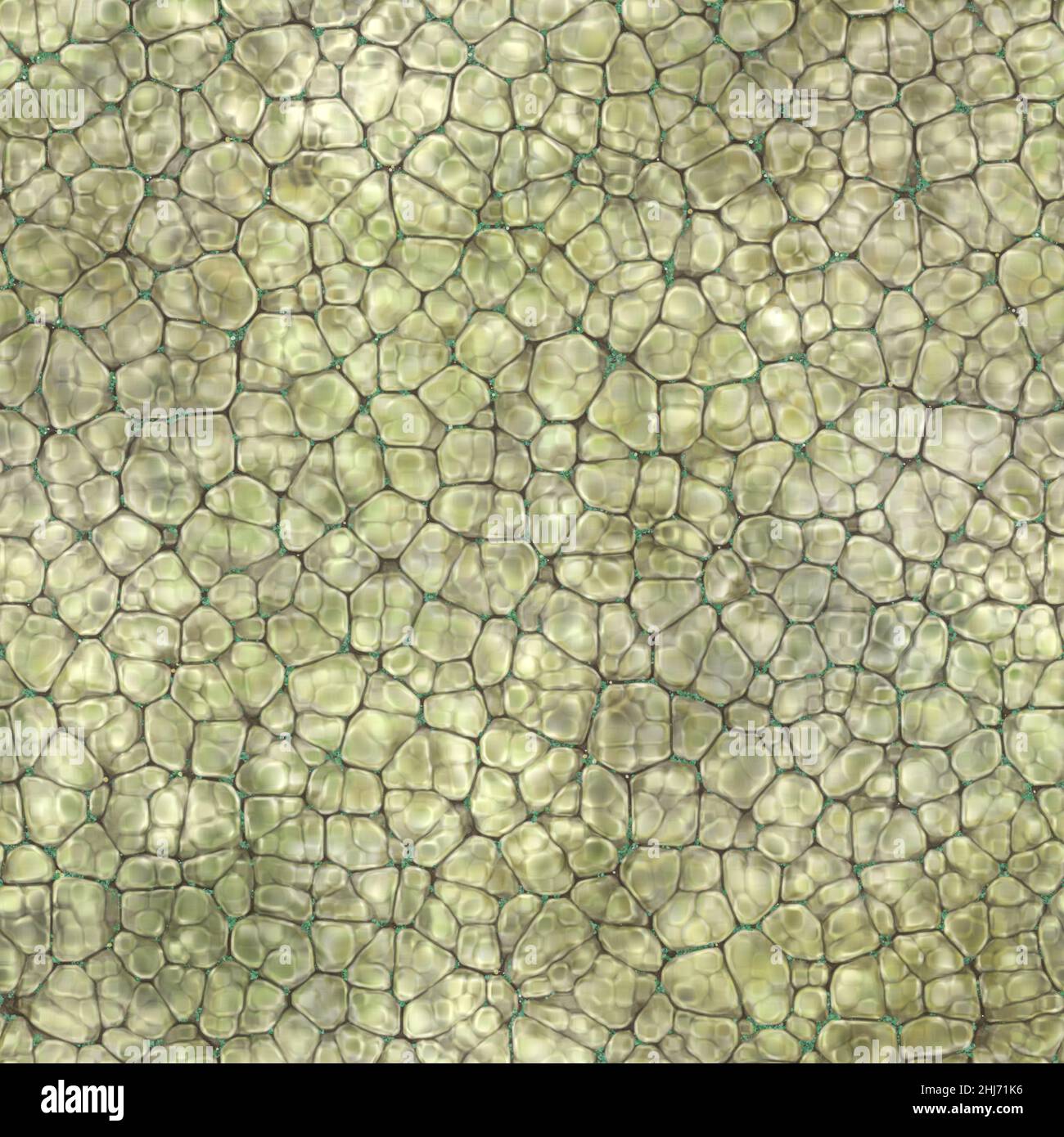Cartoon seamless texture color fantasy cobble stone ground pavement ...