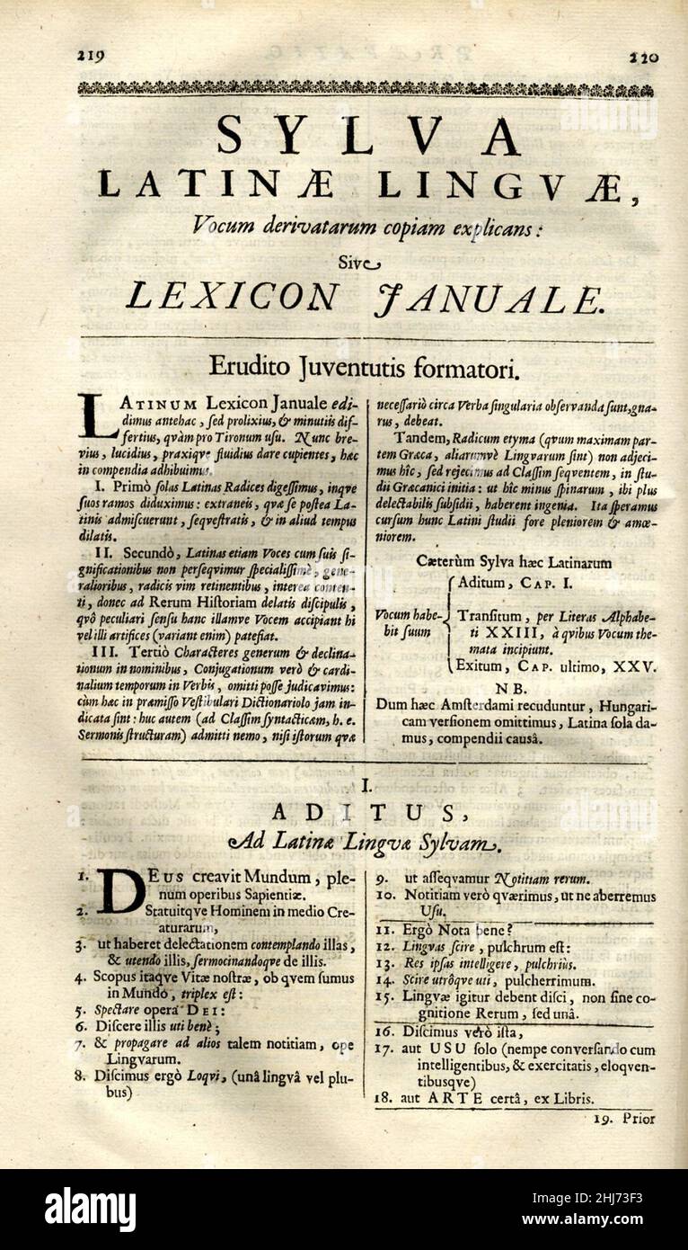 Latinae hi-res stock photography and images - Alamy