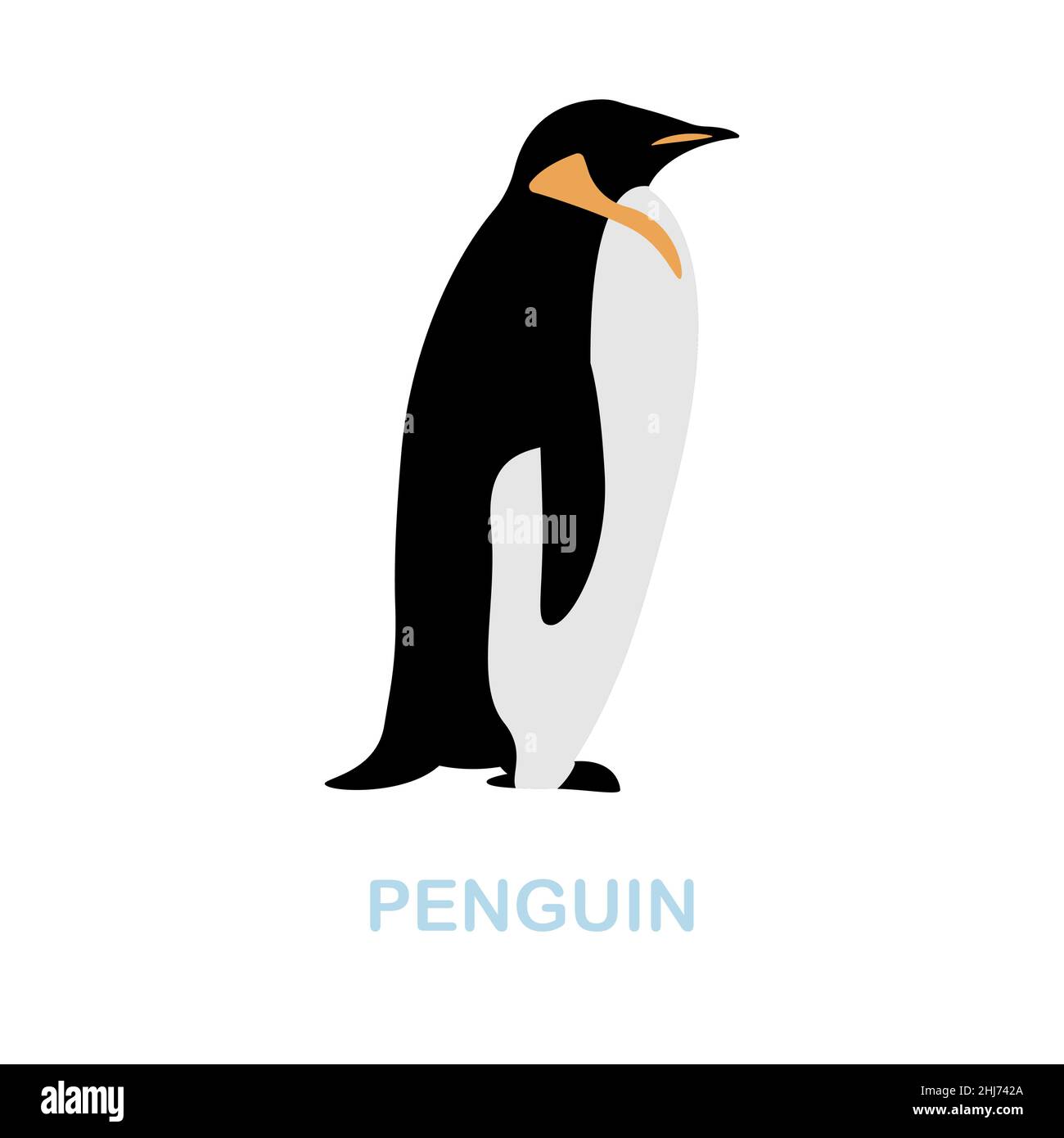 Penguin flat icon. Colored element sign from wild animals collection ...