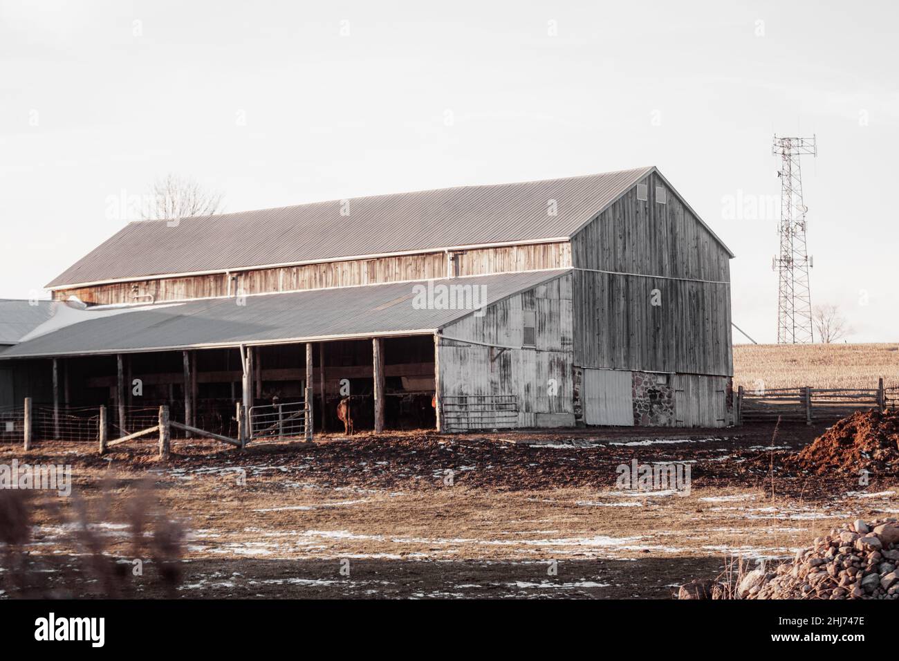 Old wooden stable and horses in an abandoned place Stock Photo - Alamy