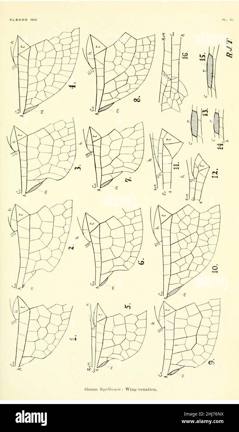 Tillyard hi-res stock photography and images - Alamy